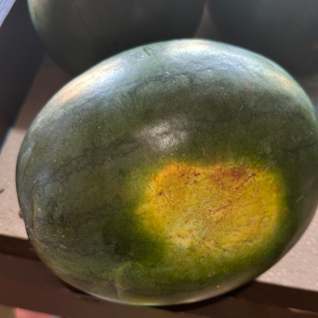 Seedless Melon – Kauai Food Hub