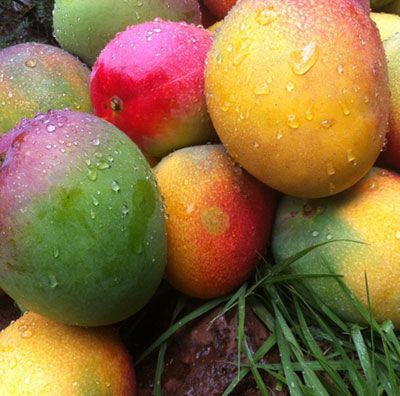 Fruits – Kauai Food Hub